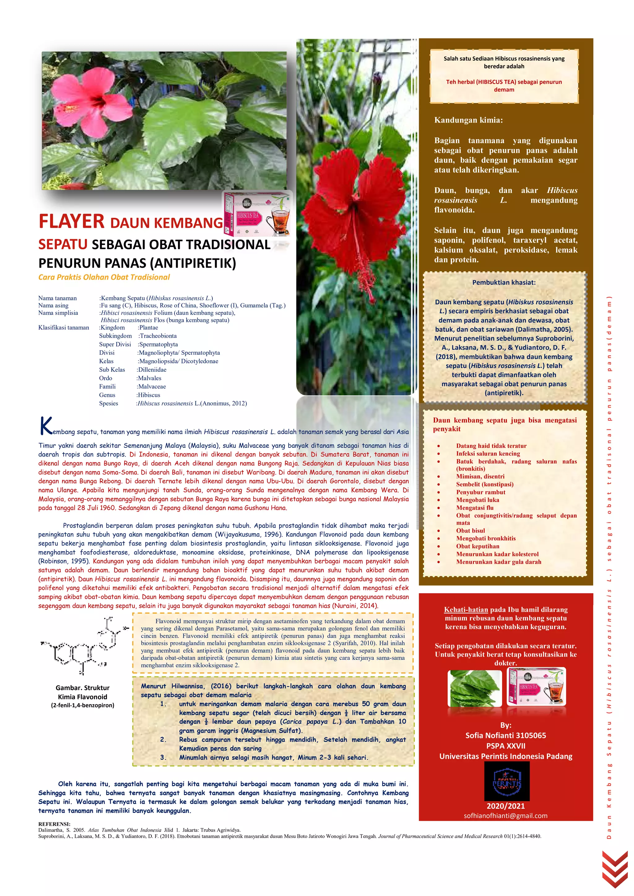 flayer fitoterapi daun kembang sepatu sebagai obat demam malaria | PDF