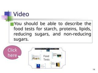 malnutrition and food tests.pptxgyyyuuuuuuuu | PPTX