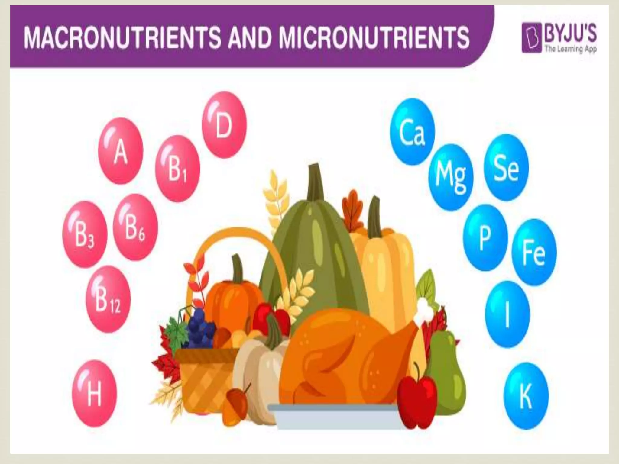 Malnutrition and Micronutrients Deficiency | PPTX