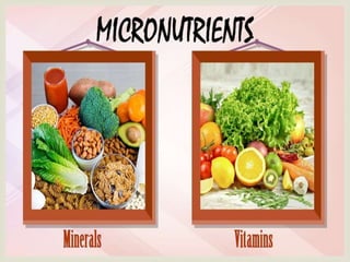 Malnutrition and Micronutrients Deficiency | PPTX