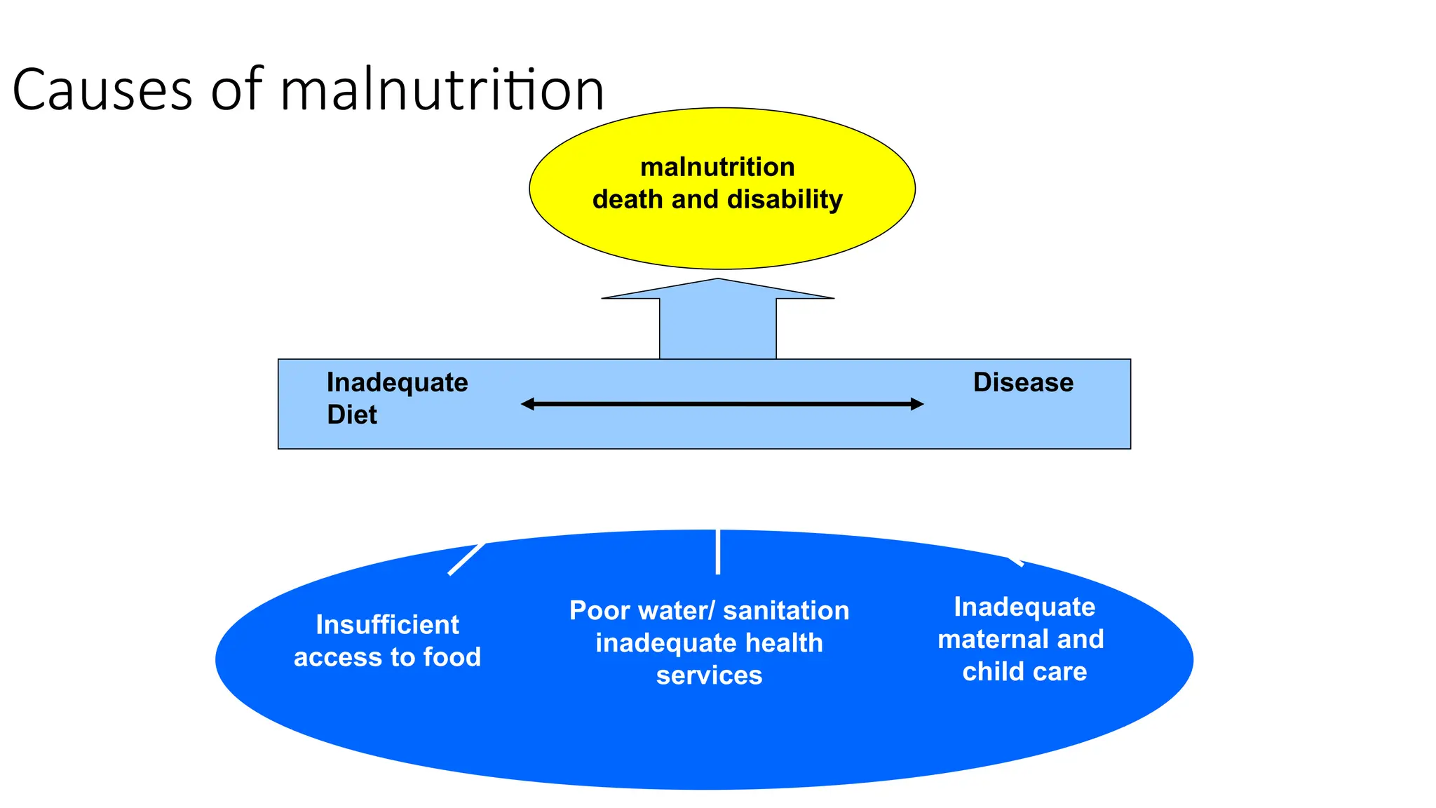 Malnutrition in adult management and treatment | PPTX