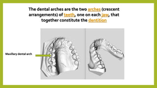 Malocclusion of teeth | PPTX