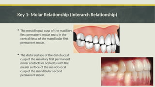 Classification of Dental Malocclusion | PPTX