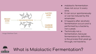 Malolactic Fermentation.pptx | Chemistry | Science