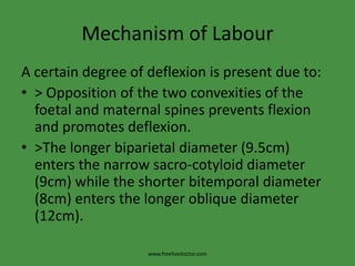 Malposition and malpresentations | PPTX