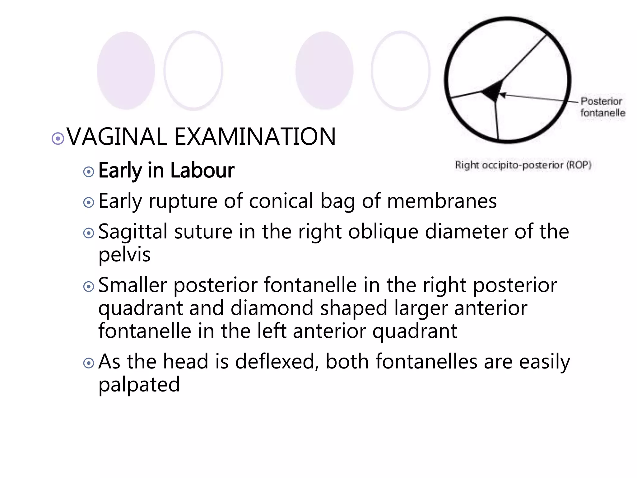 Malposition and malpresentations | PPTX