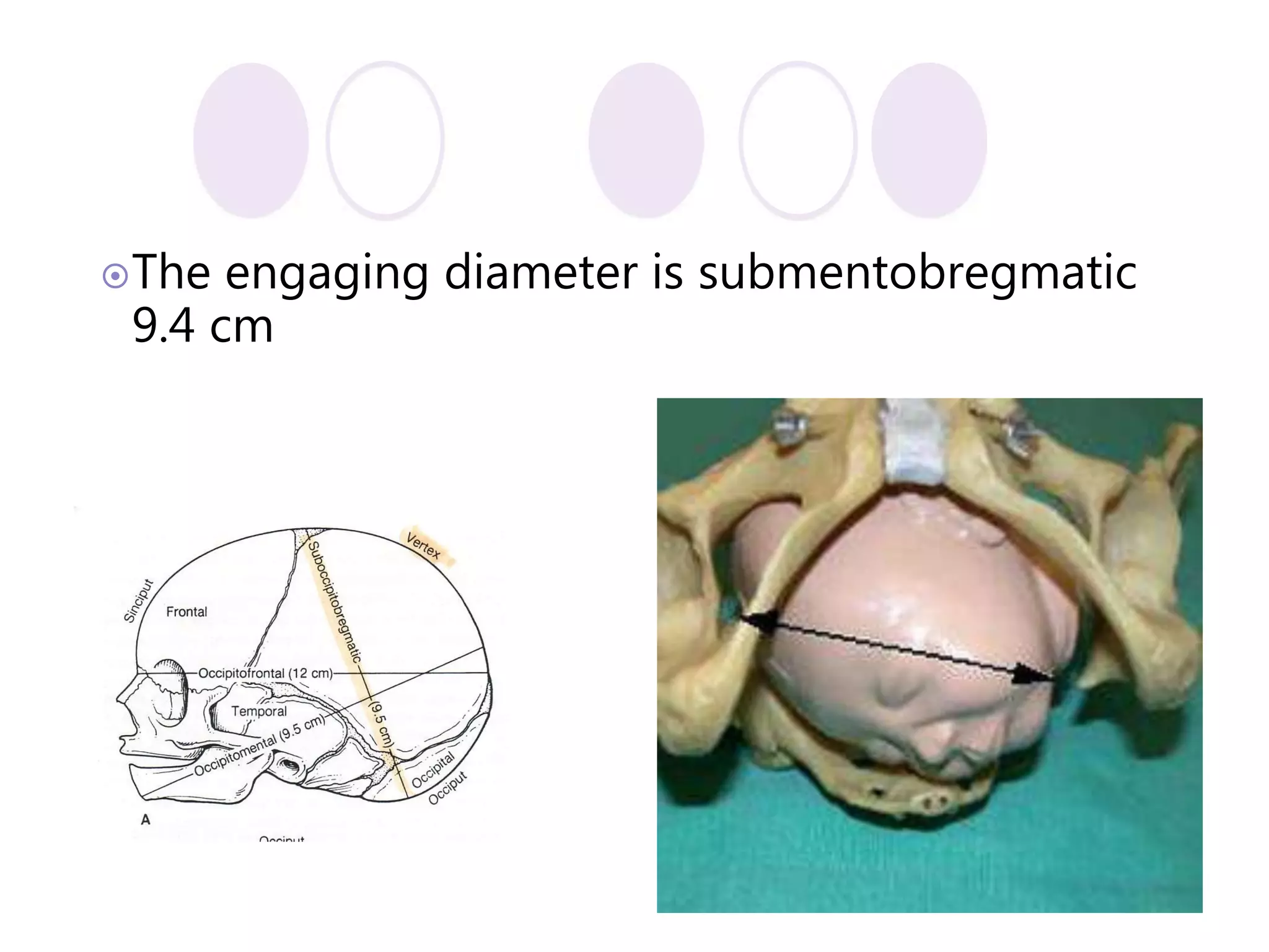 Malposition and malpresentations | PPTX