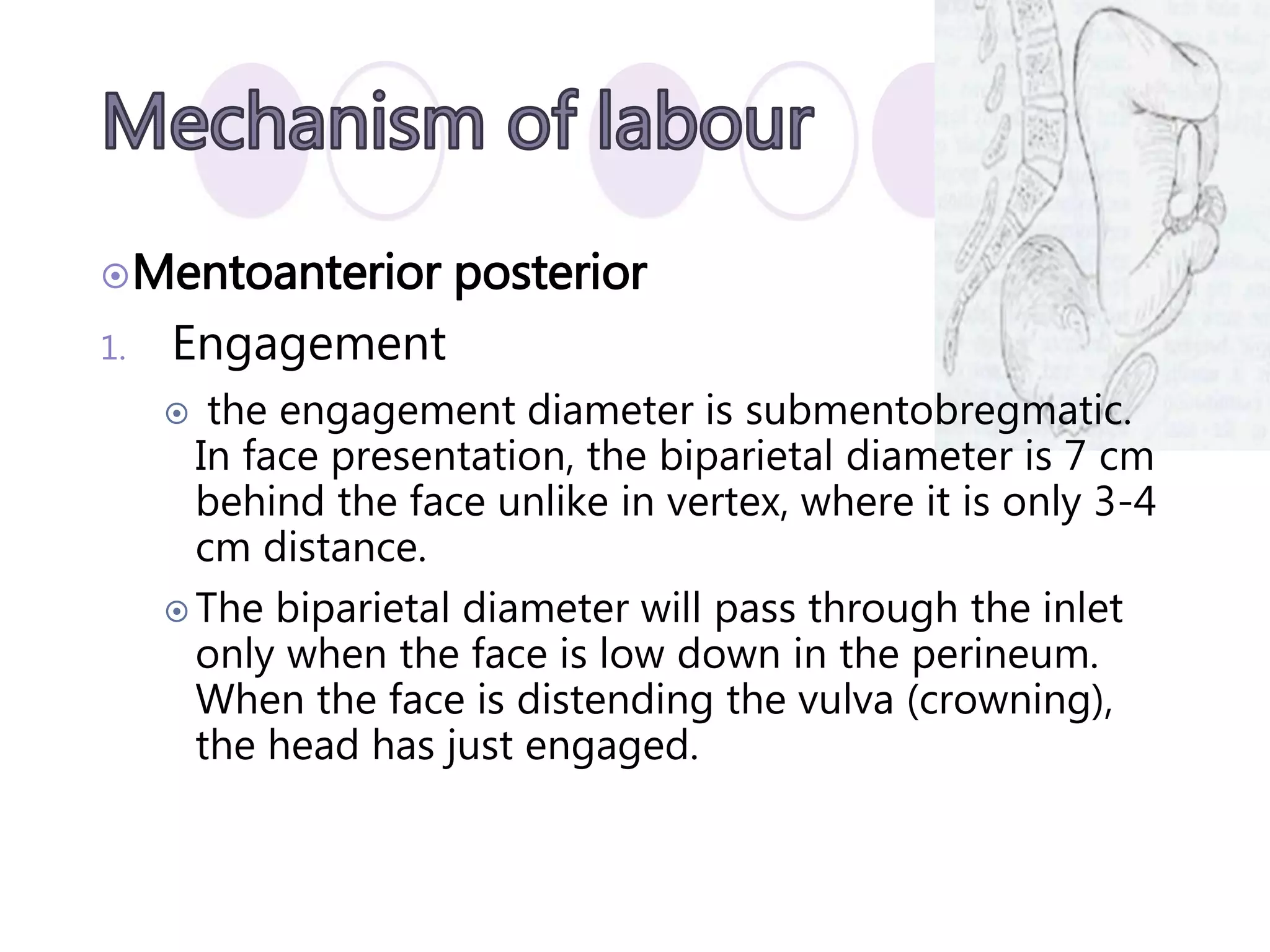 Malposition and malpresentations | PPTX