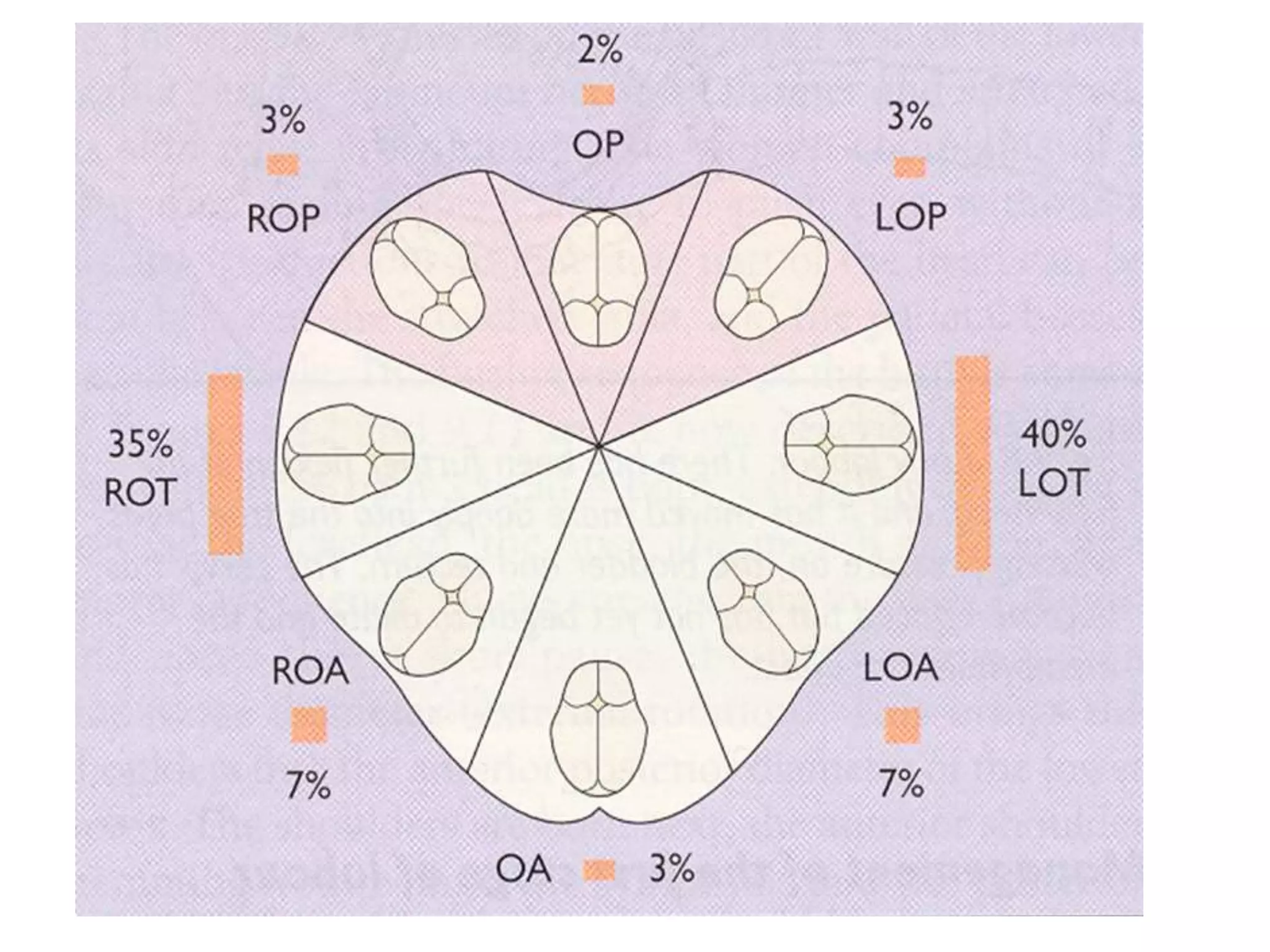 Malposition and malpresentations | PPTX