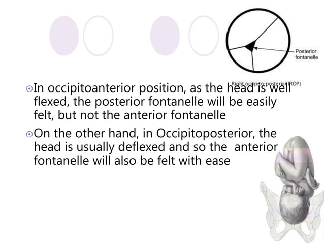 Malposition and malpresentations | PPTX | Pregnancy | Reproductive Health