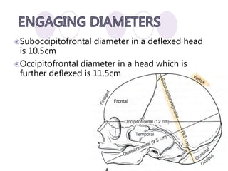 Malposition and malpresentations | PPTX