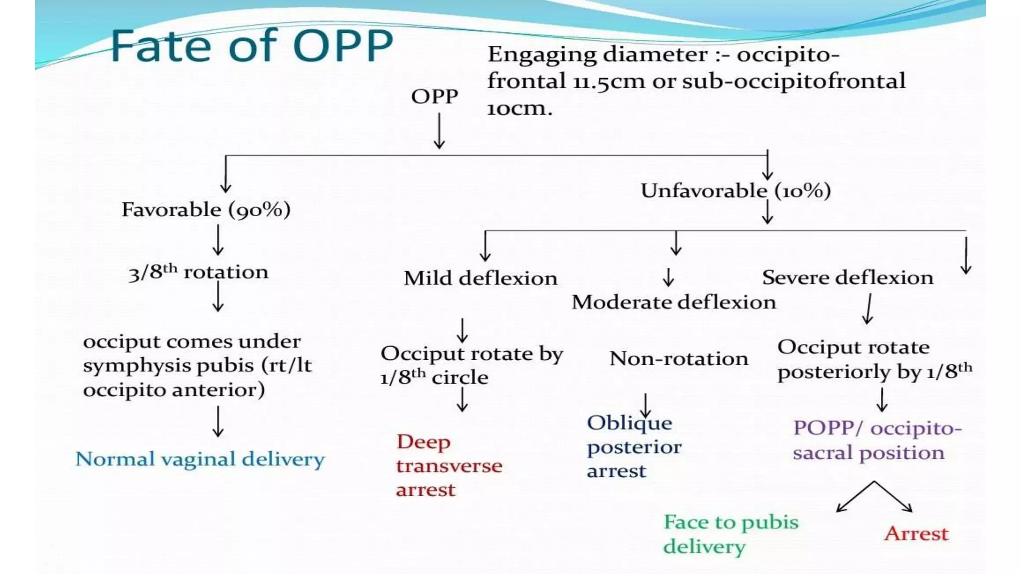 MALPOSITION Original .pptx