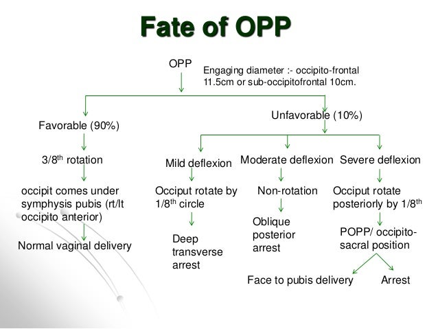 Deep Transverse Arrest , Labor: Overview of normal and abnormal ...