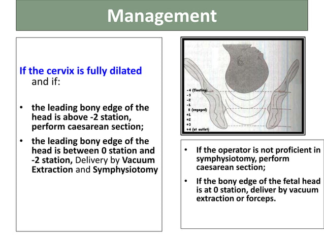 Malpresentation | PPT | Pregnancy | Reproductive Health