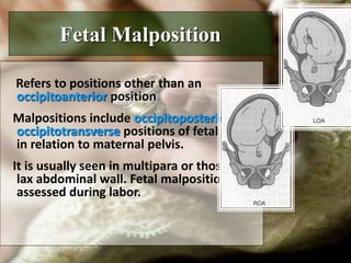 Malpresentation | PPT