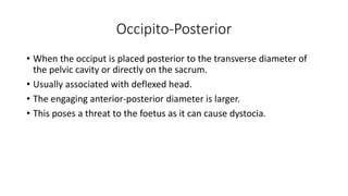 Malpresentation & malposition.pptx