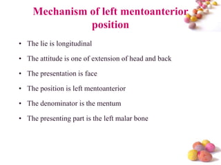 Malpresentations | PPTX