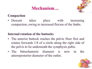 Malpresentations | PPTX