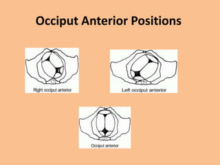 Malpresentations&malpositions | PPTX