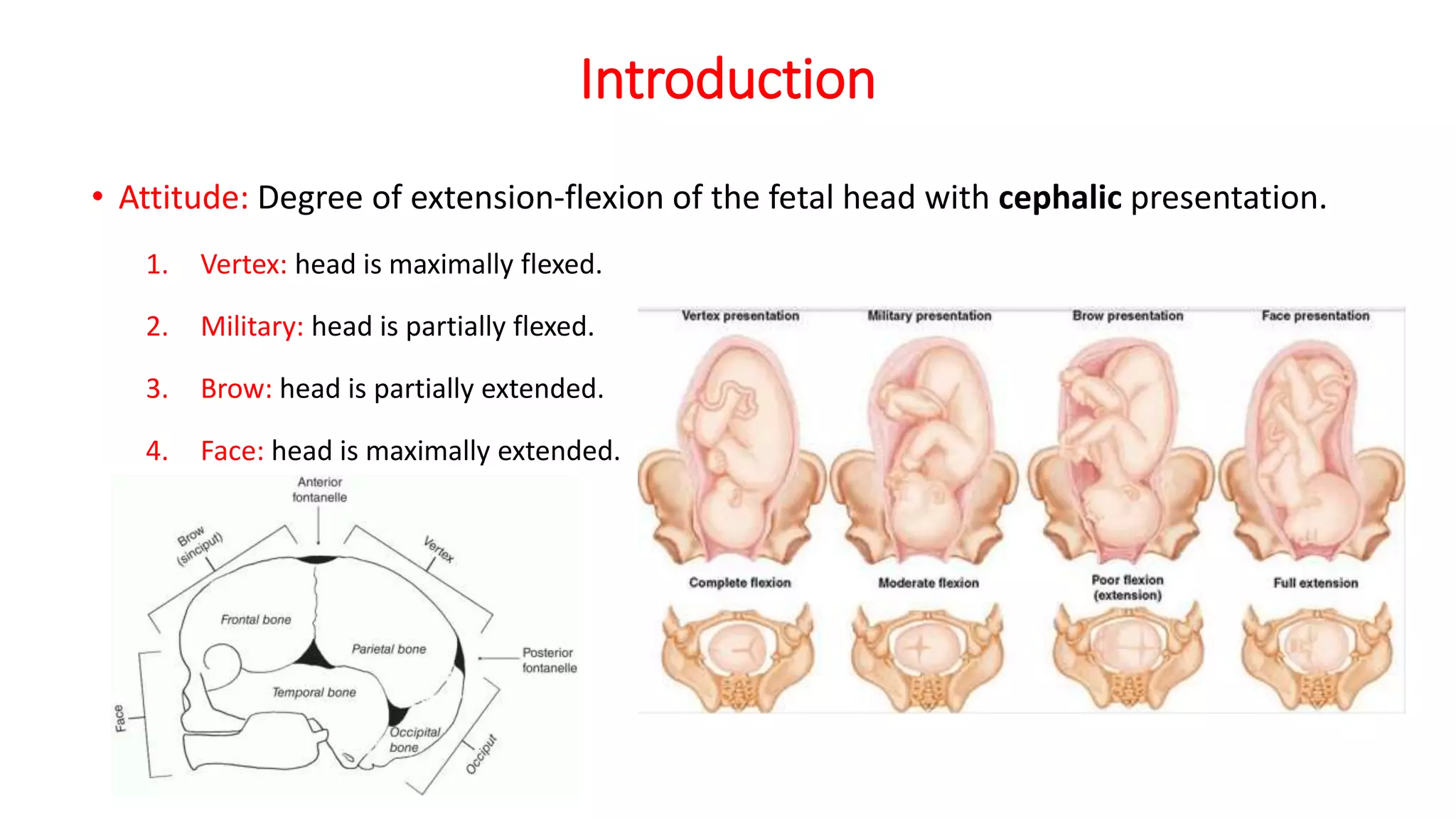 Malpresentations & Malpositions copy.pptx