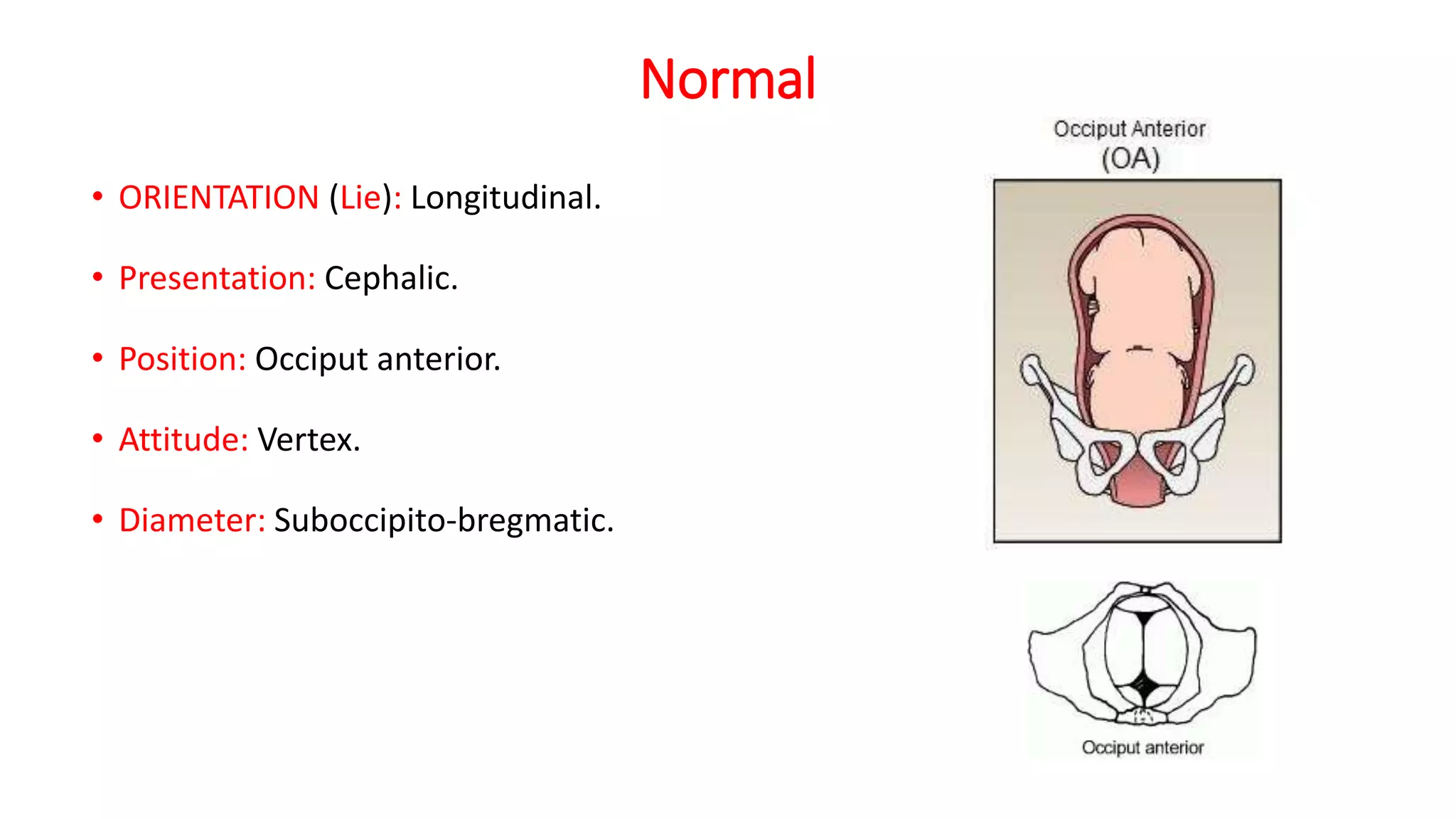 Malpresentations & Malpositions copy.pptx