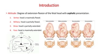 Malpresentations & Malpositions copy.pptx