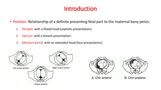 Malpresentations & Malpositions copy.pptx