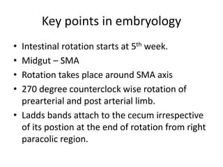 Malrotation Embryology