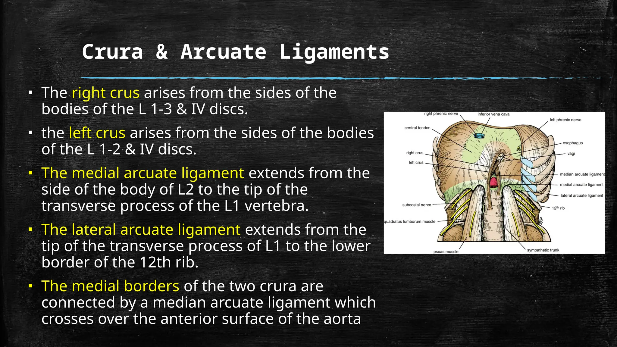 Median arcuate ligament syndrome with celiac Stenois | PPTX