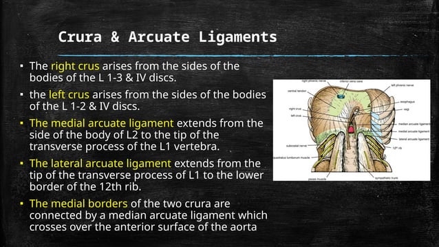 Median arcuate ligament syndrome with celiac Stenois | PPTX