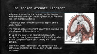 Median arcuate ligament syndrome with celiac Stenois | PPTX