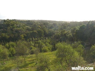 Malta grădini şi palate (nx power lite) | PPSX