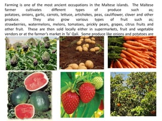 Maltese Agriculture by Daniel Paul Sant, 3.01