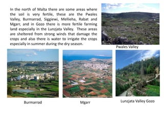 Maltese Agriculture by Daniel Paul Sant, 3.01