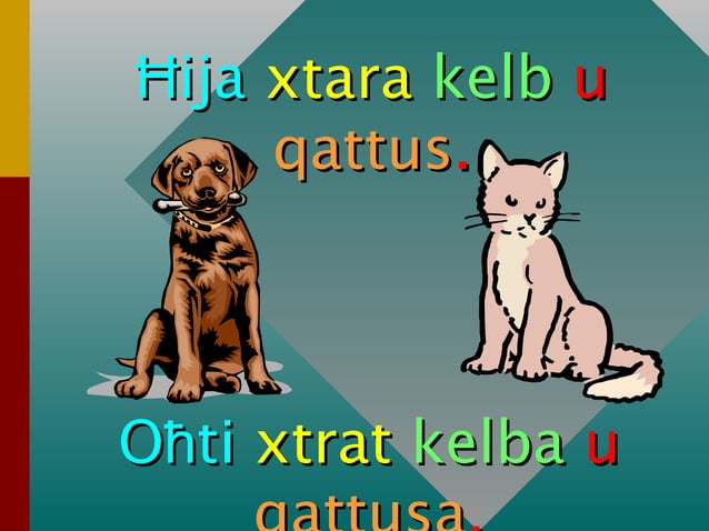 Il-Maskil u l-Femminil | PPT