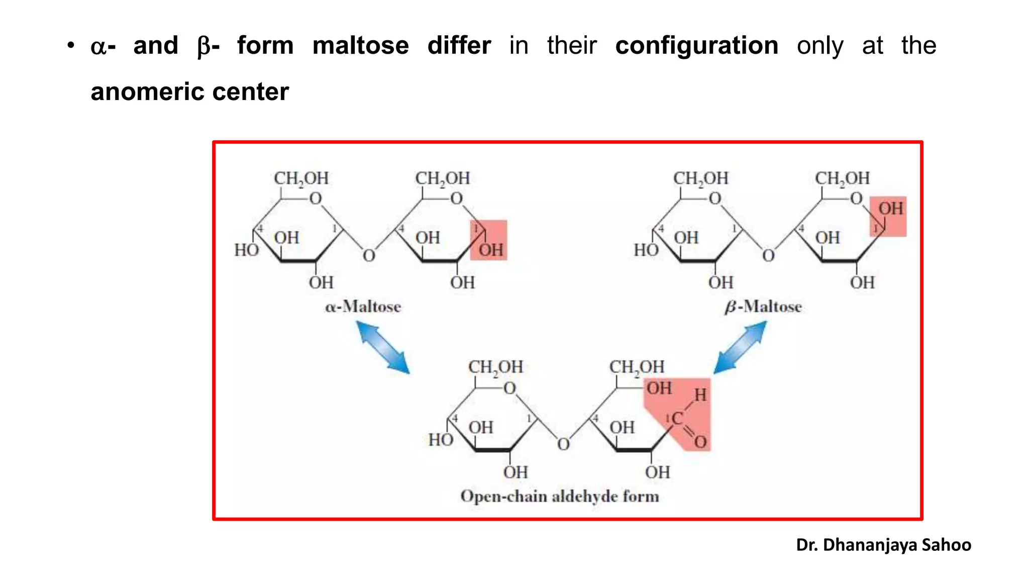 Maltose_050223.pptx