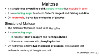 Maltose_050223.pptx