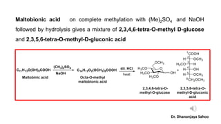 Maltose_050223.pptx