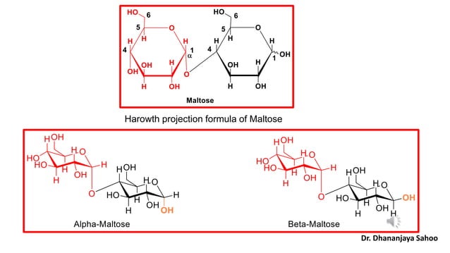Maltose_050223.pptx | Chemistry | Science
