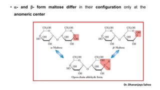 Maltose_050223.pptx