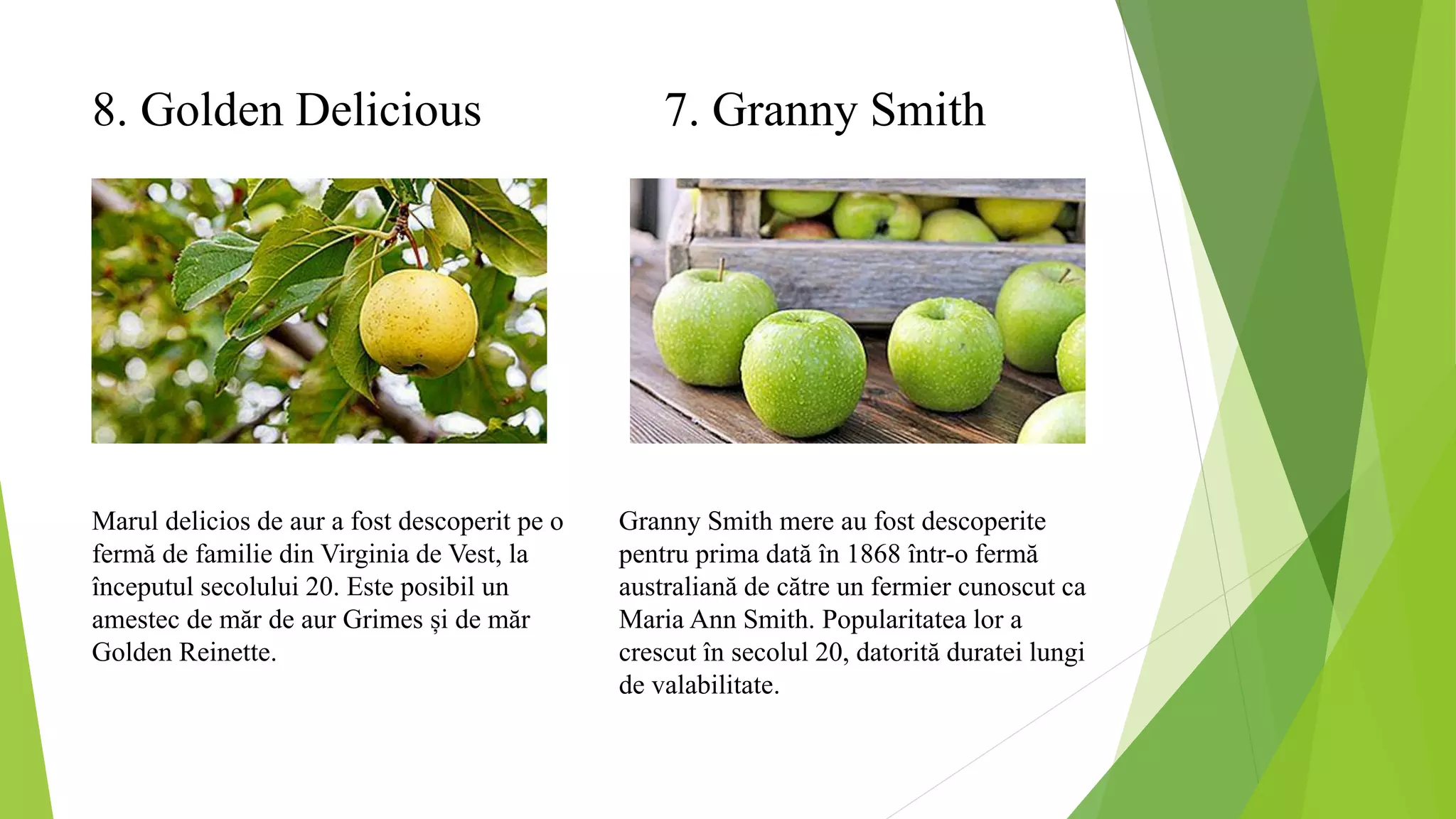 Malus domestica.pdf