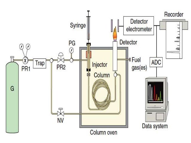 HPLC in Pathology