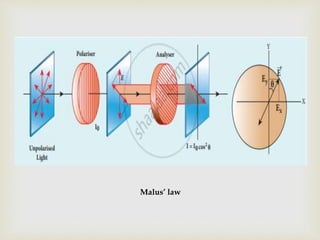 Malus law - Polarisation properties of light | PPTX