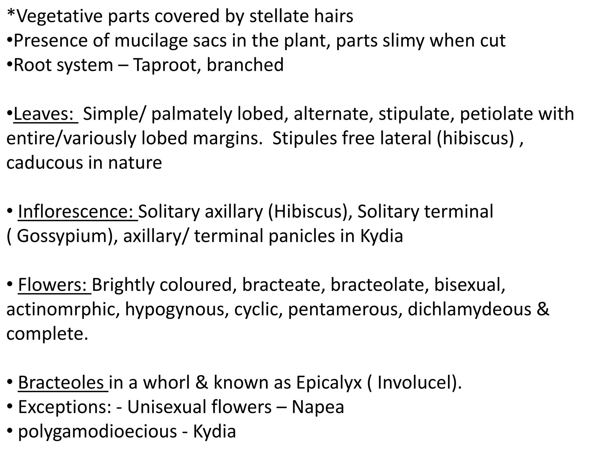 Malvaceae.pdf for study the family of malvaceae group | PDF