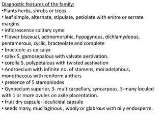 Malvaceae.pdf for study the family of malvaceae group | PDF