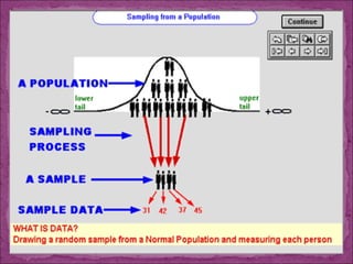 SAMPLING | PPT | Science