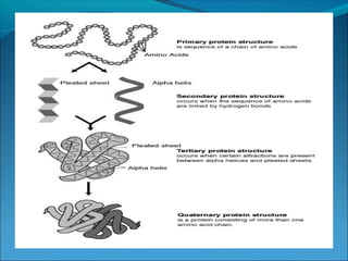 PROTEIN STRUCTURE DATABANK | PPT