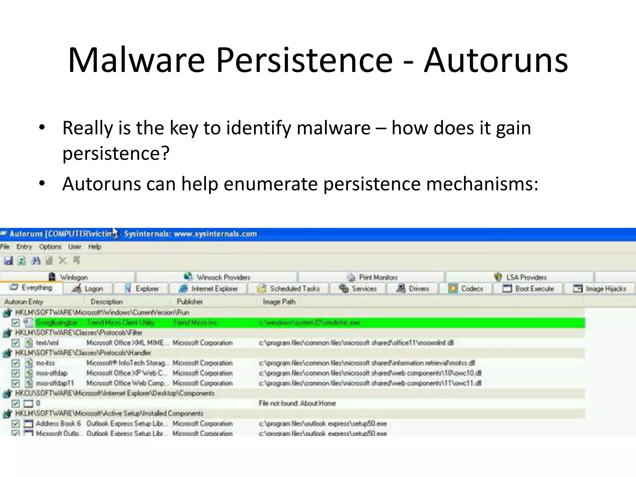 Introduction to Malware Analysis | PPTX | Programming Languages | Computing