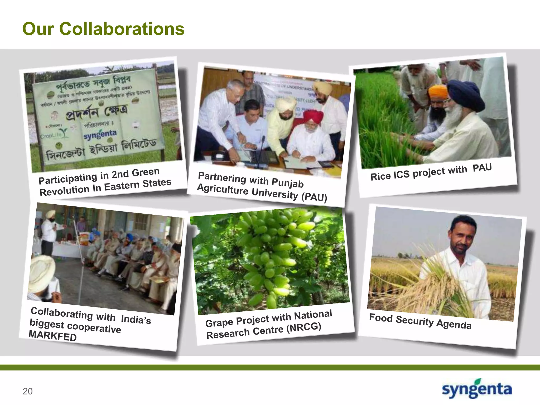 Agriculture in India ppt.... | PPTX