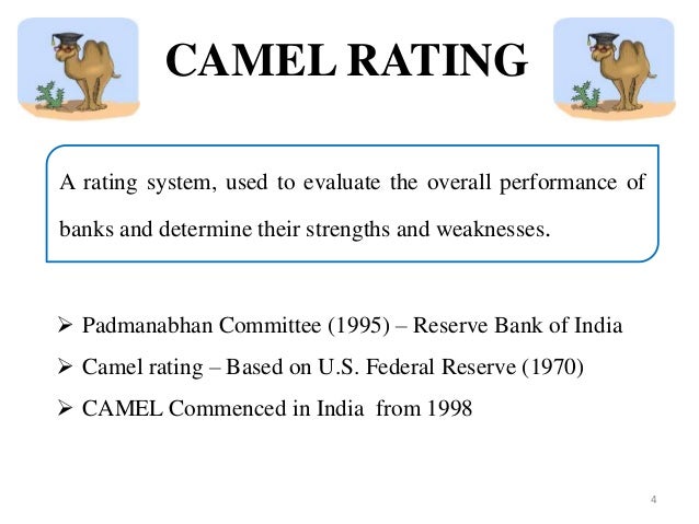 Analyzing financial soundness using camel model